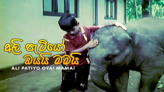 Ali Patiyo Oyai Mamai 2006