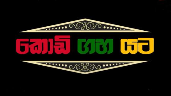Kodi Gaha Yata