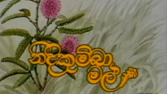 Nidikumba Mal Teledrama | Watch on Rupavahini